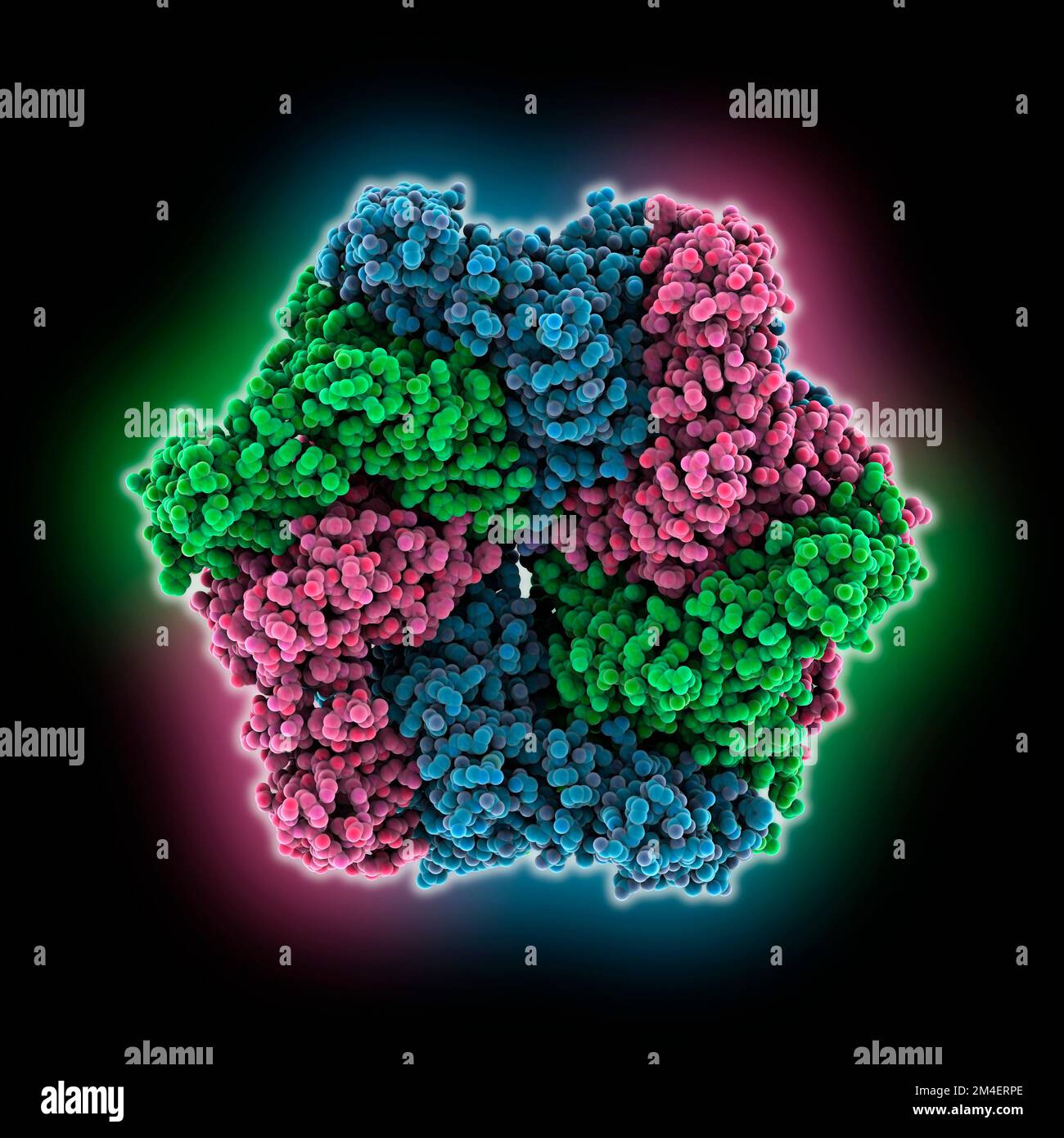 Mycobacterium tuberculosis ClpC1 hexamer, molecular model Stock Photo - Alamy