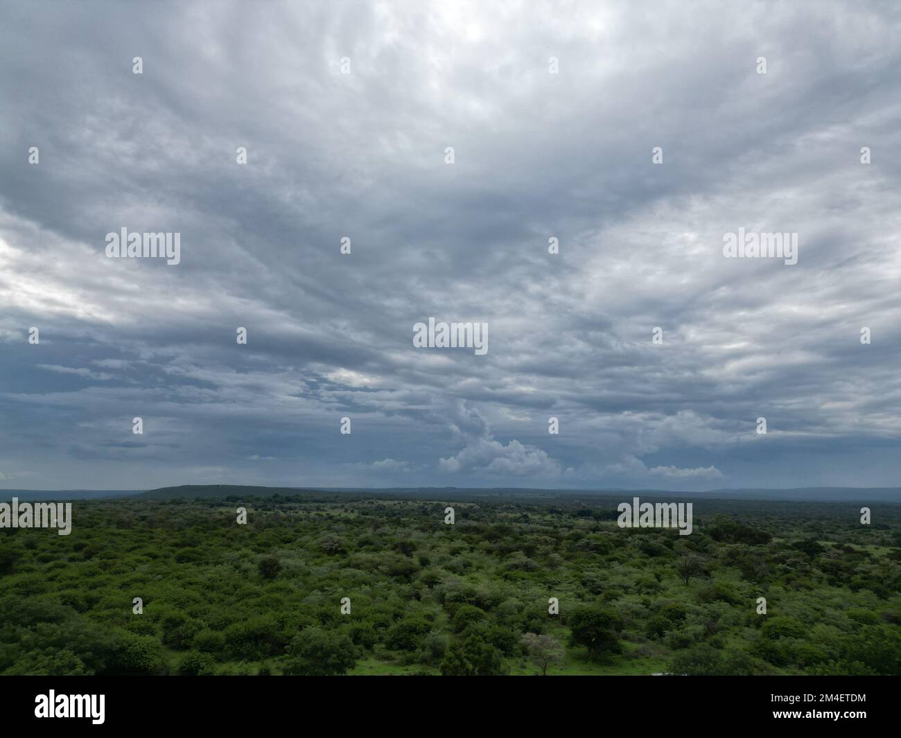 A Cloudy day sky over the fields in Bushveld, Limpopo Province ...