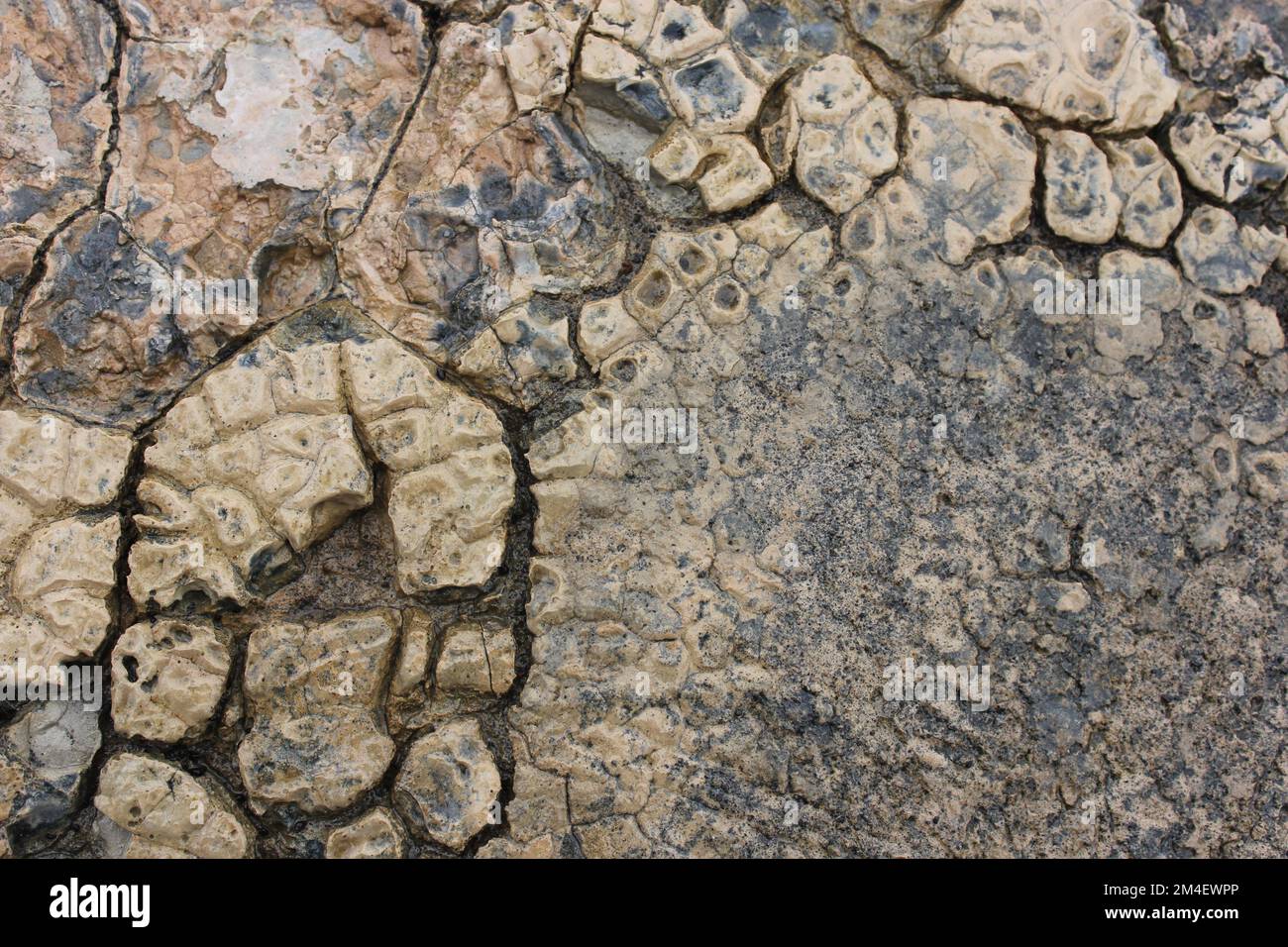 broke and cracked crack wet stone concrete texture close up background ...