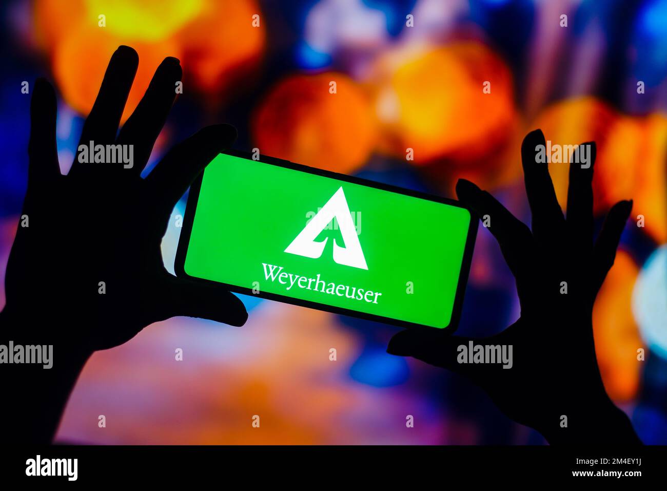 Brazil. 20th Dec, 2022. In this photo illustration, the Weyerhaeuser ...