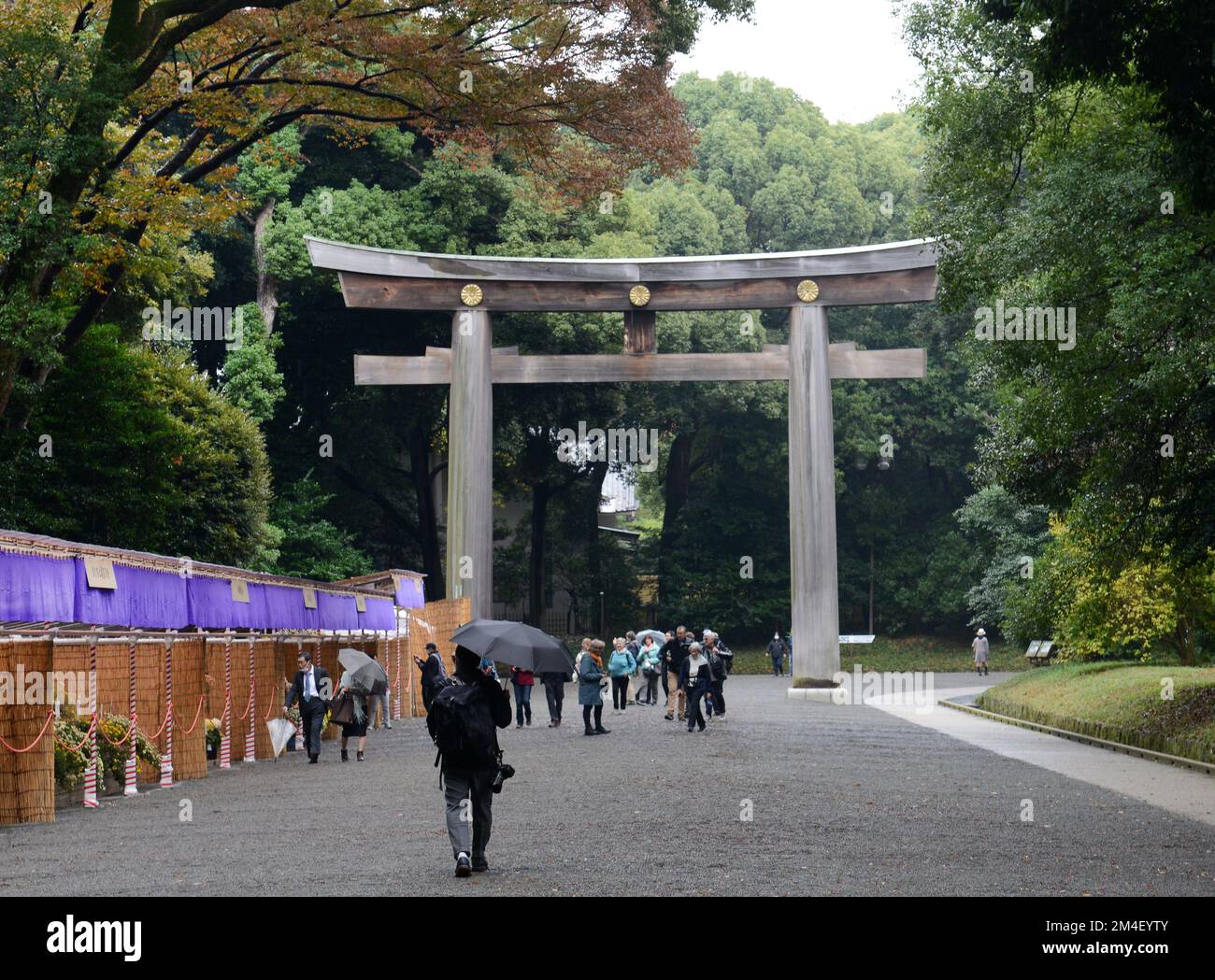 Torii Gate at Meiji Jingu Shrine in Tokyo, Japan Stock Photo - Alamy