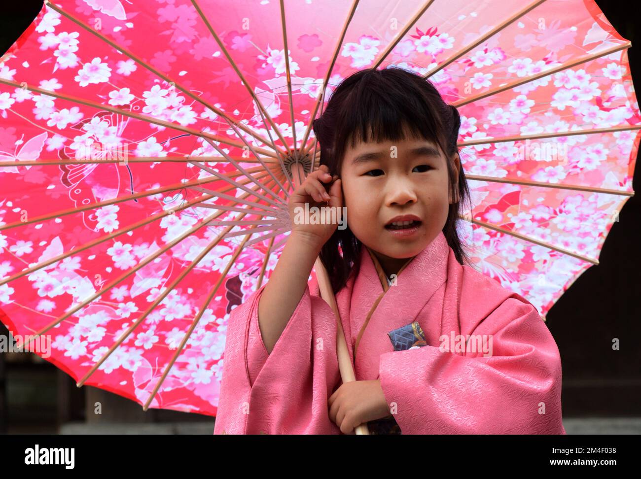 Shichi-Go-San ( Japanese rite of passage festival ) in Meiji Shrine ...