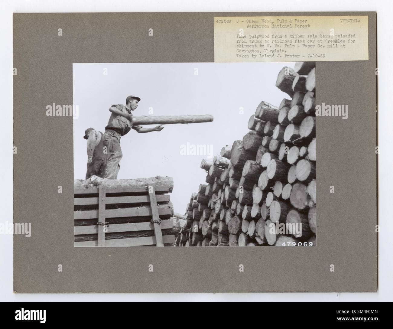 Pulp and Paper Woods - Virginia. Photographs Relating to National ...