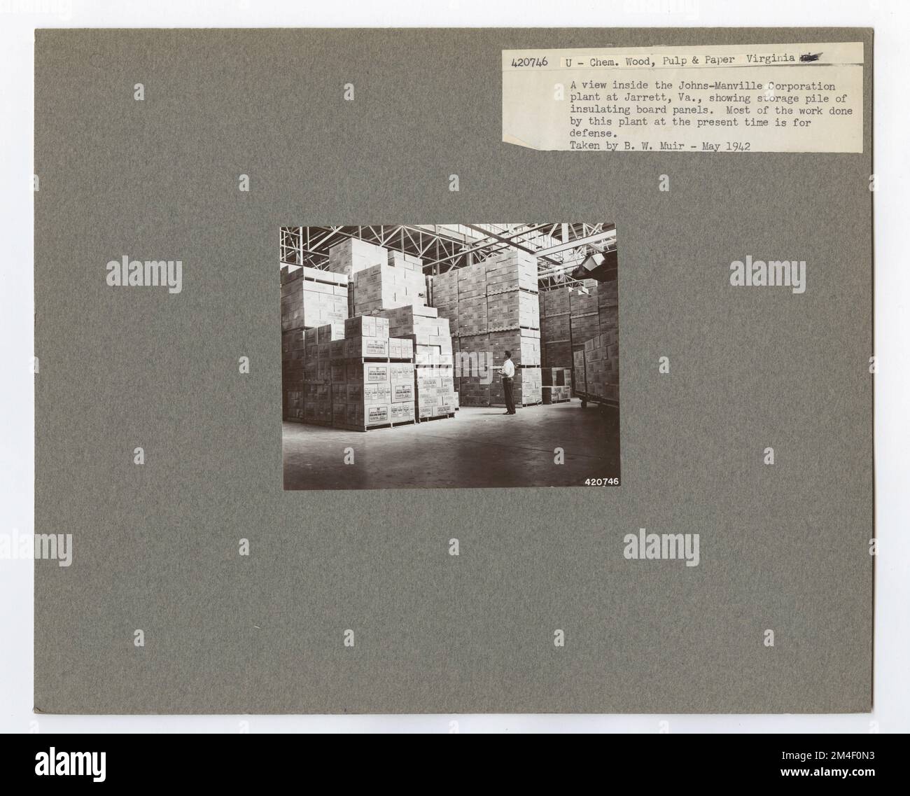 Pulp and Paper Woods - Virginia. Photographs Relating to National ...