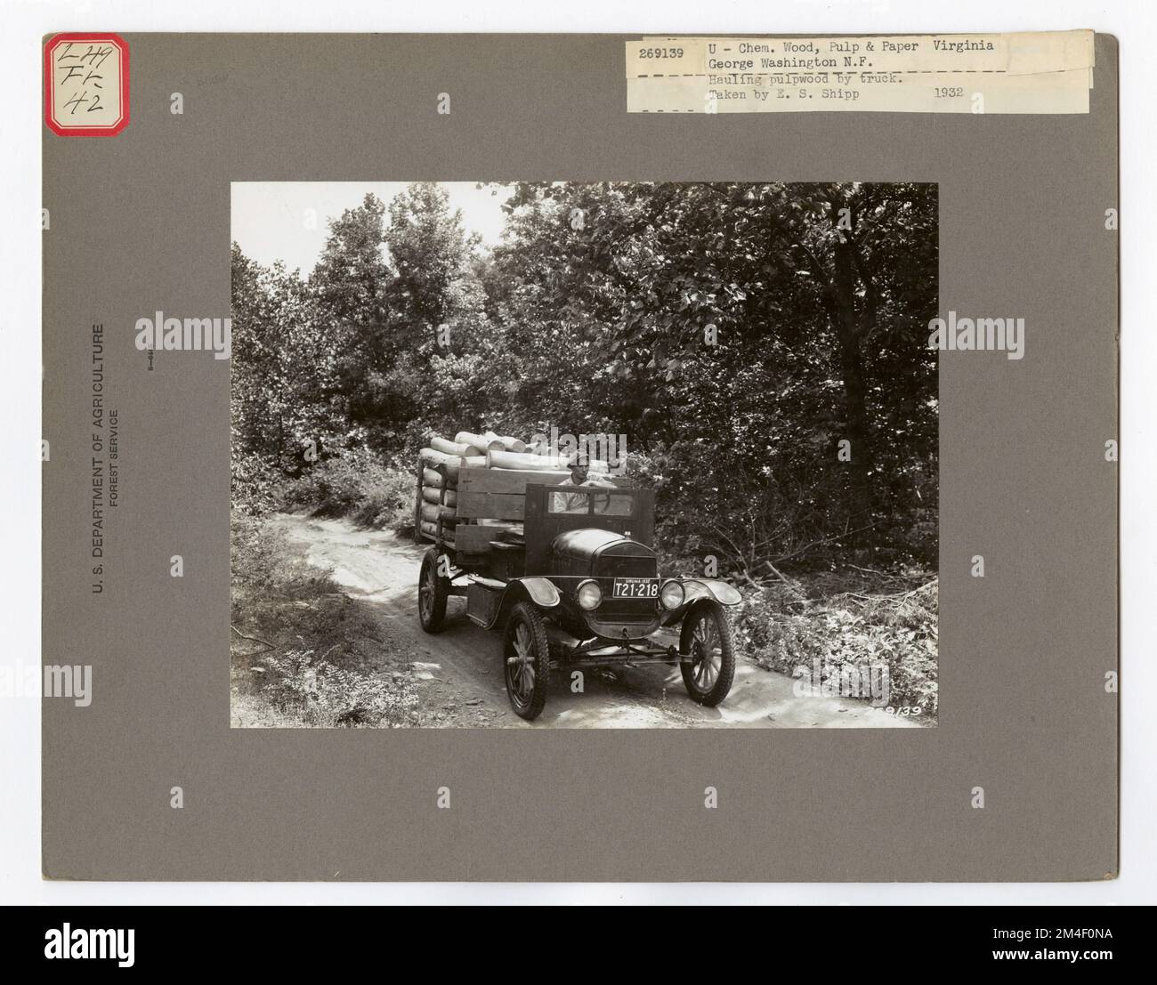 Pulp and Paper Woods - Virginia. Photographs Relating to National ...