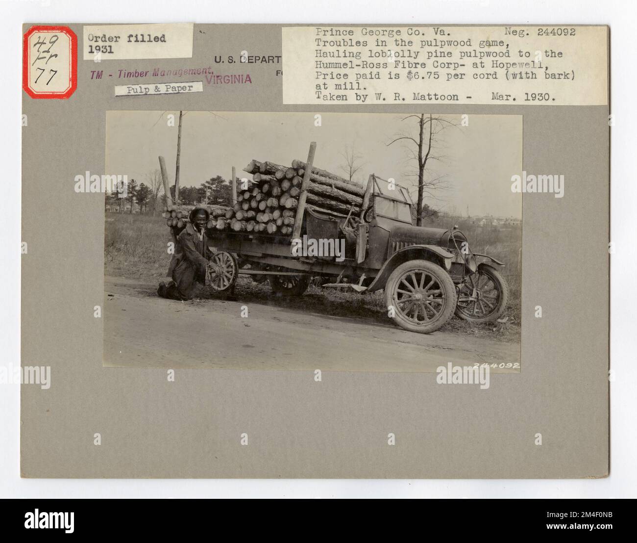 Pulp and Paper Woods - Virginia. Photographs Relating to National ...