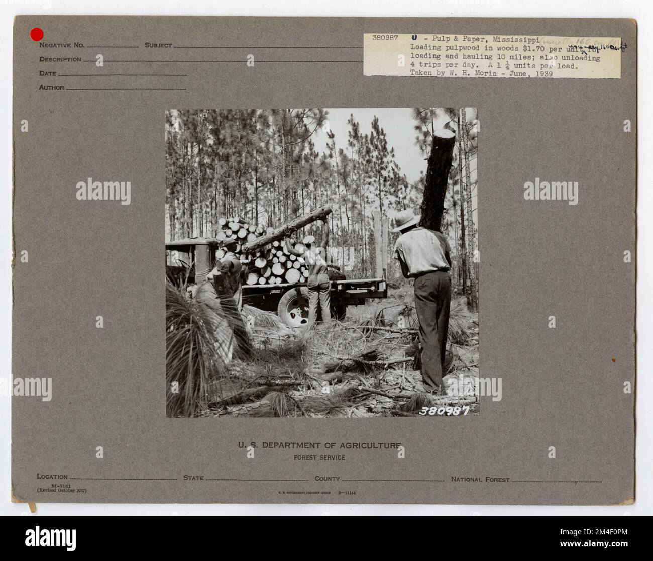 Pulp and Paper Woods - Mississippi. Photographs Relating to National ...