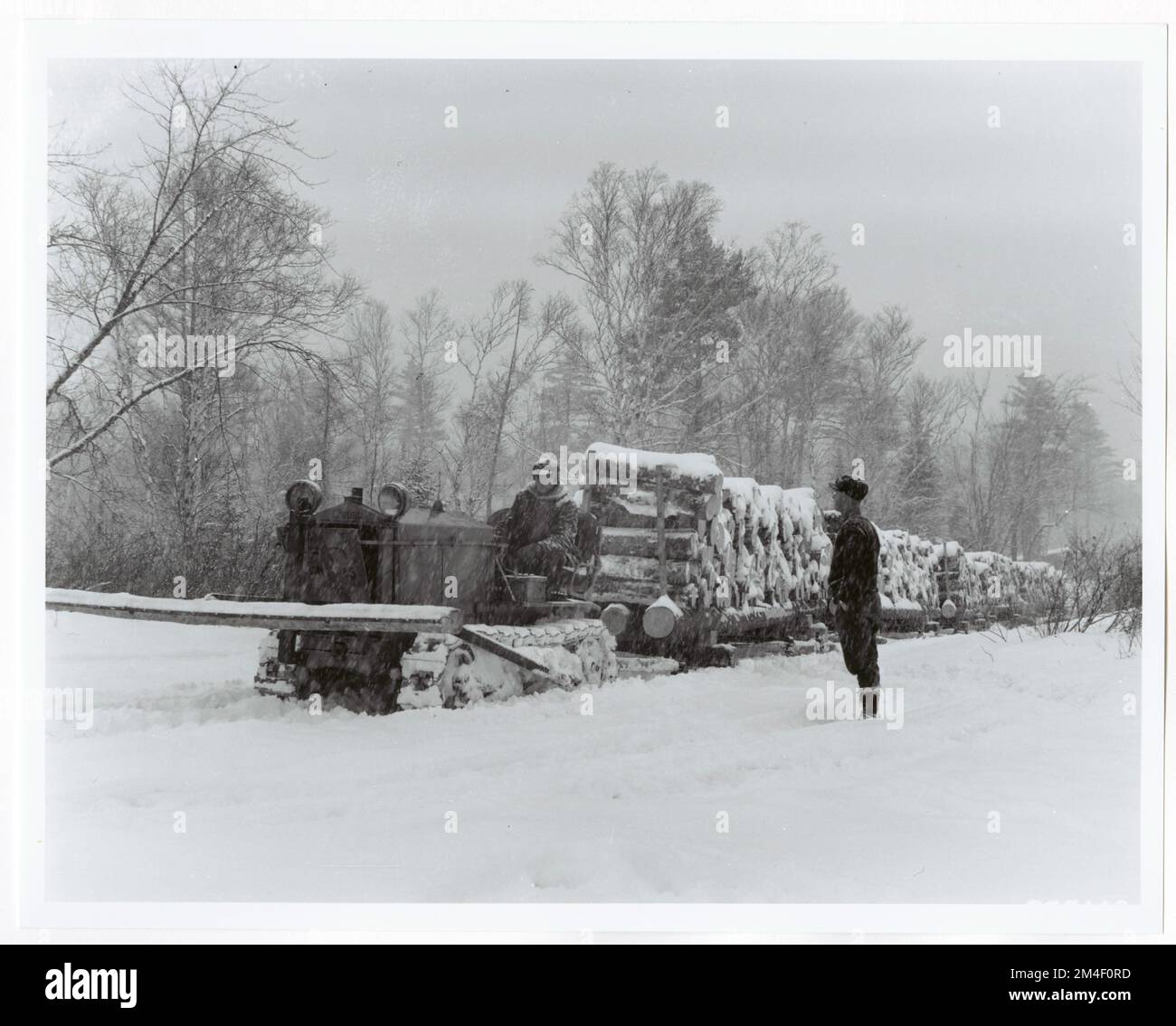 Pulp and Paper Woods - Maine. Photographs Relating to National Forests ...
