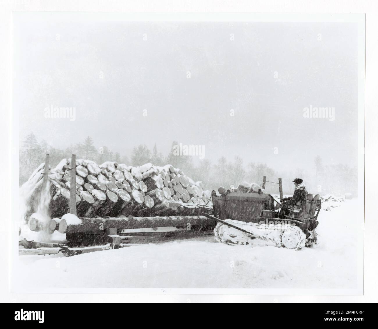Pulp and Paper Woods - Maine. Photographs Relating to National Forests ...