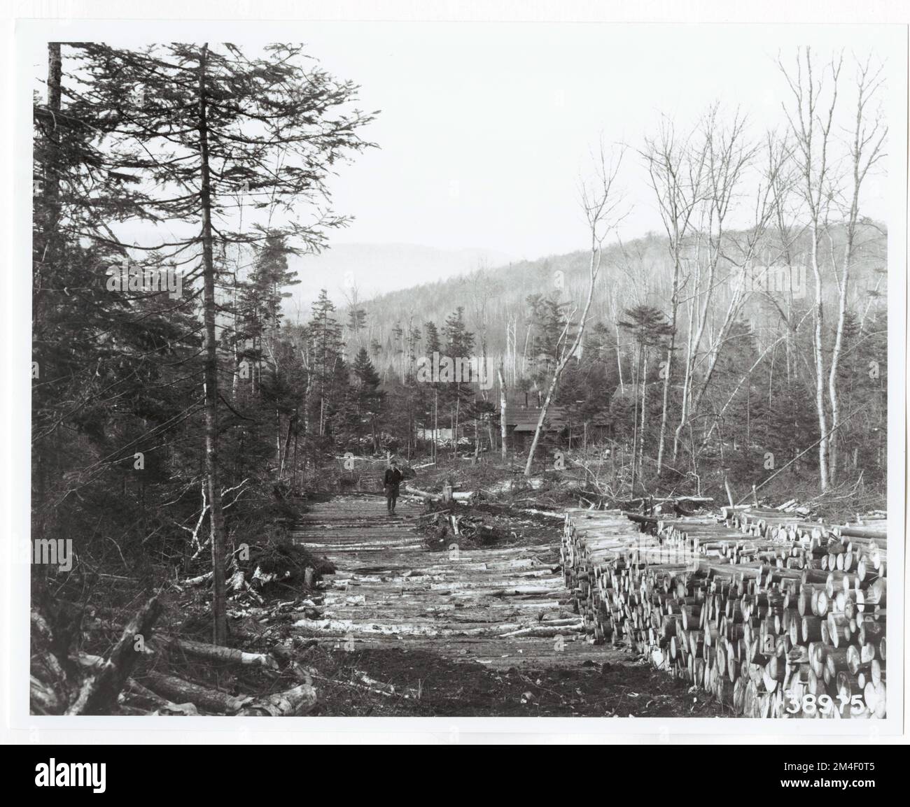 Pulp and Paper Woods - Maine. Photographs Relating to National Forests ...