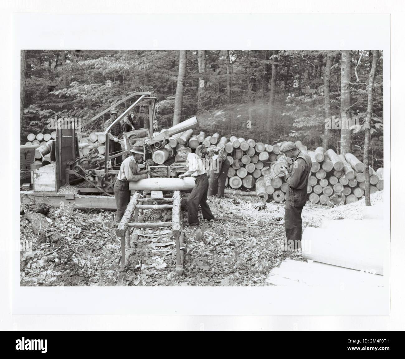 Pulp and Paper Woods - Maine. Photographs Relating to National Forests ...