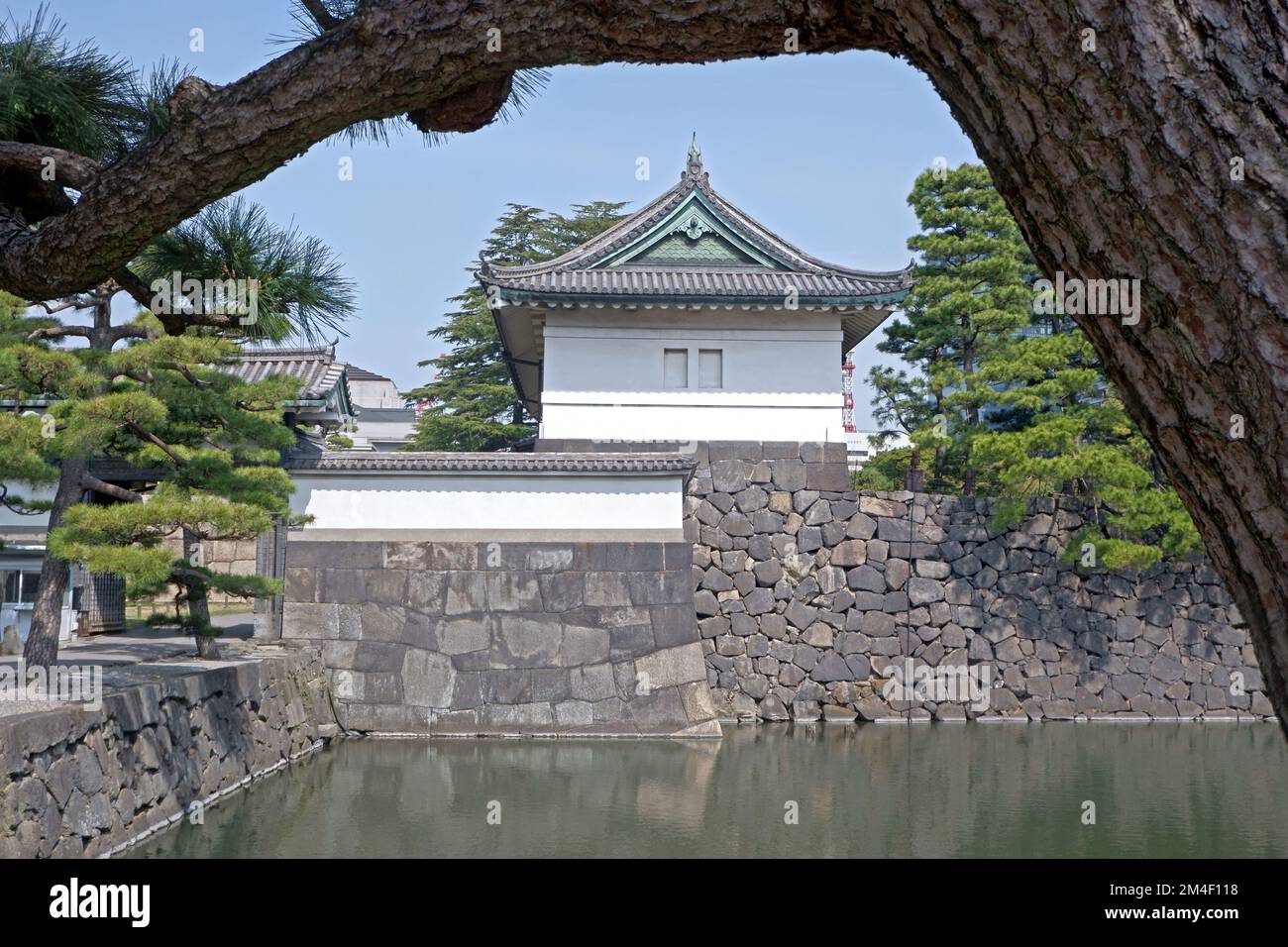 The Japanese castle, building frame with river and pine tree in ...