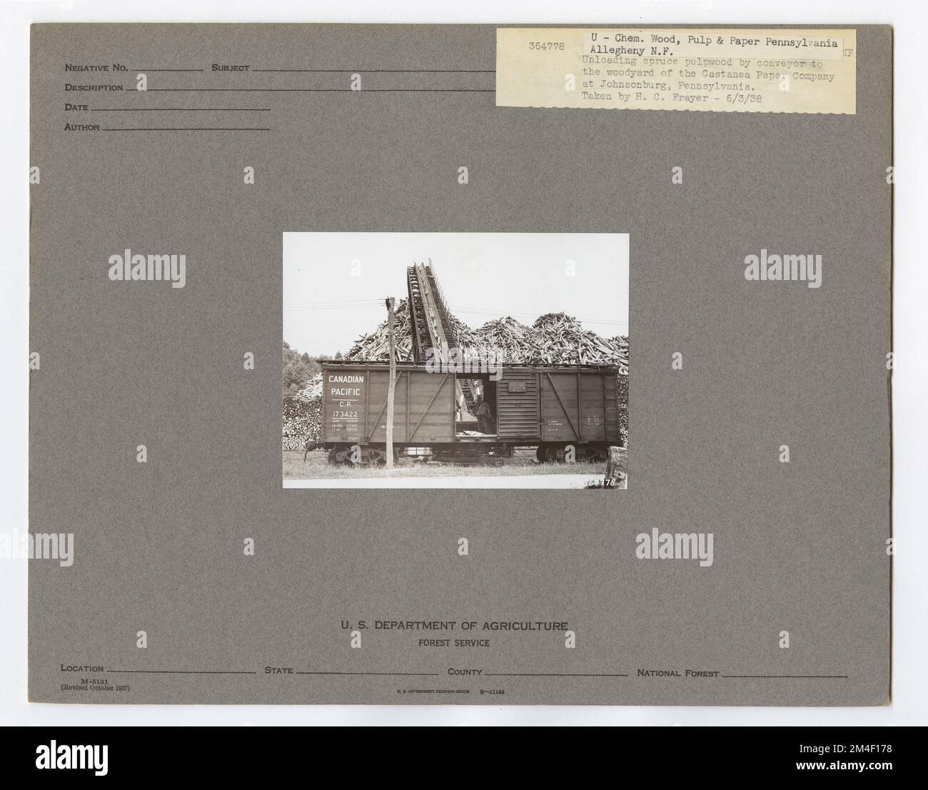 Pulp and Paper: Pulpwood Yards - Pennsylvania. Photographs Relating to ...