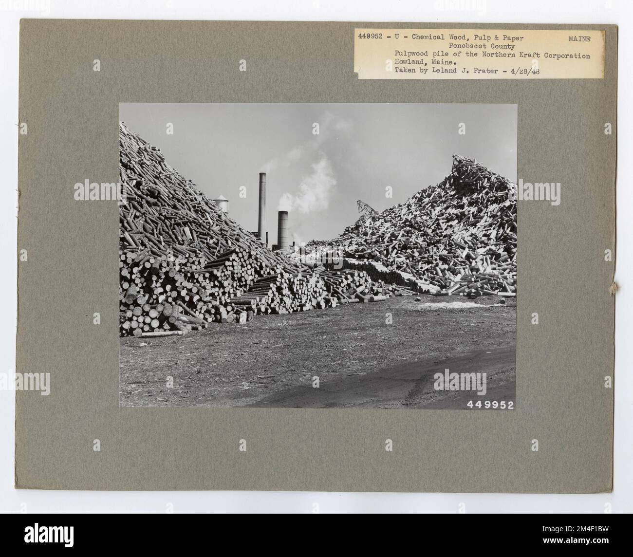 Pulpwood maine hi-res stock photography and images - Alamy