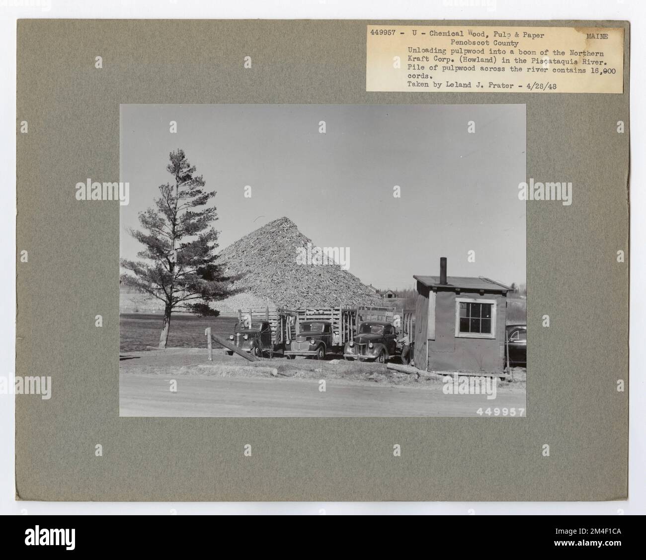 Pulpwood maine hi-res stock photography and images - Alamy