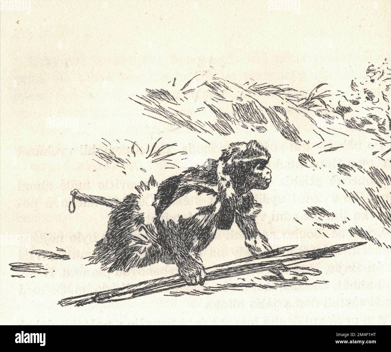 A prehistoric man wades through the snow. Old black and white ...