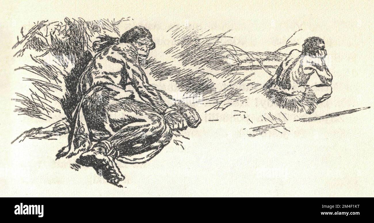 Homo sapiens sapiens drawing hi-res stock photography and images - Alamy