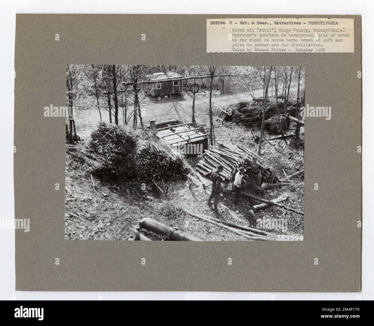 Chemical Wood - Pennsylvania. Photographs Relating to National Forests ...