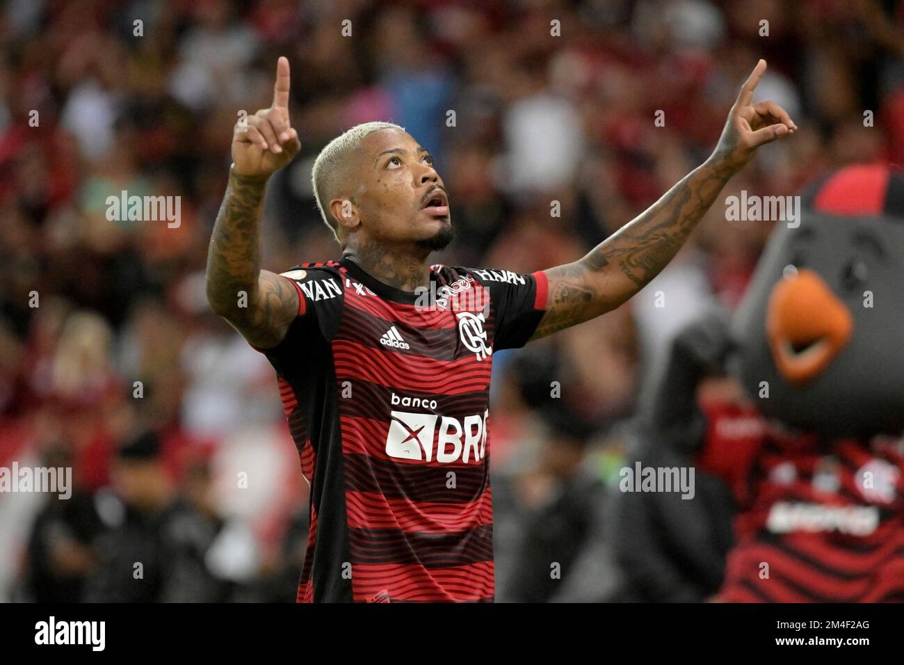 Rio de Janeiro, Brazil,October 25, 2022. Marinho football player of ...