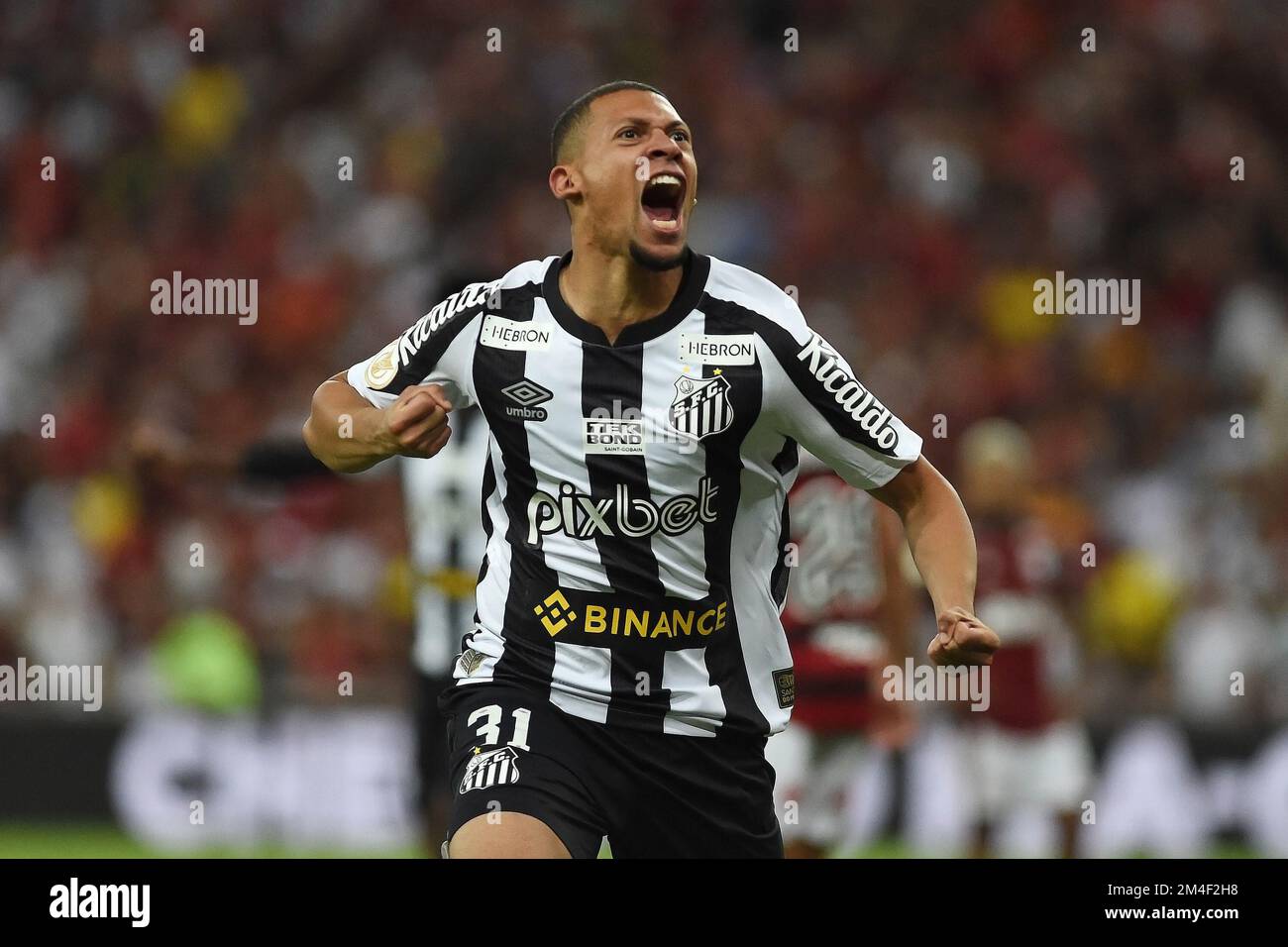 Rio de Janeiro, Brazil,October 25, 2022. Football player Alex of the ...