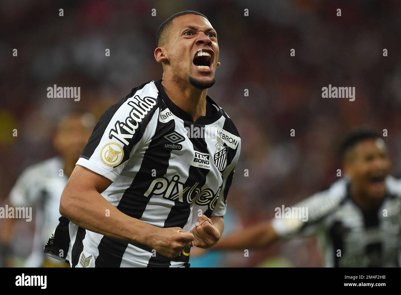 Rio de Janeiro, Brazil,October 25, 2022. Football player Alex of the ...