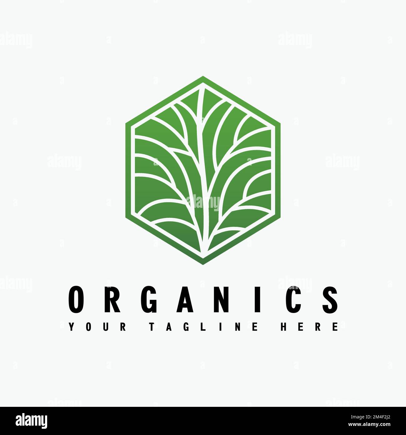 Green barley abstract Stock Vector Images - Alamy