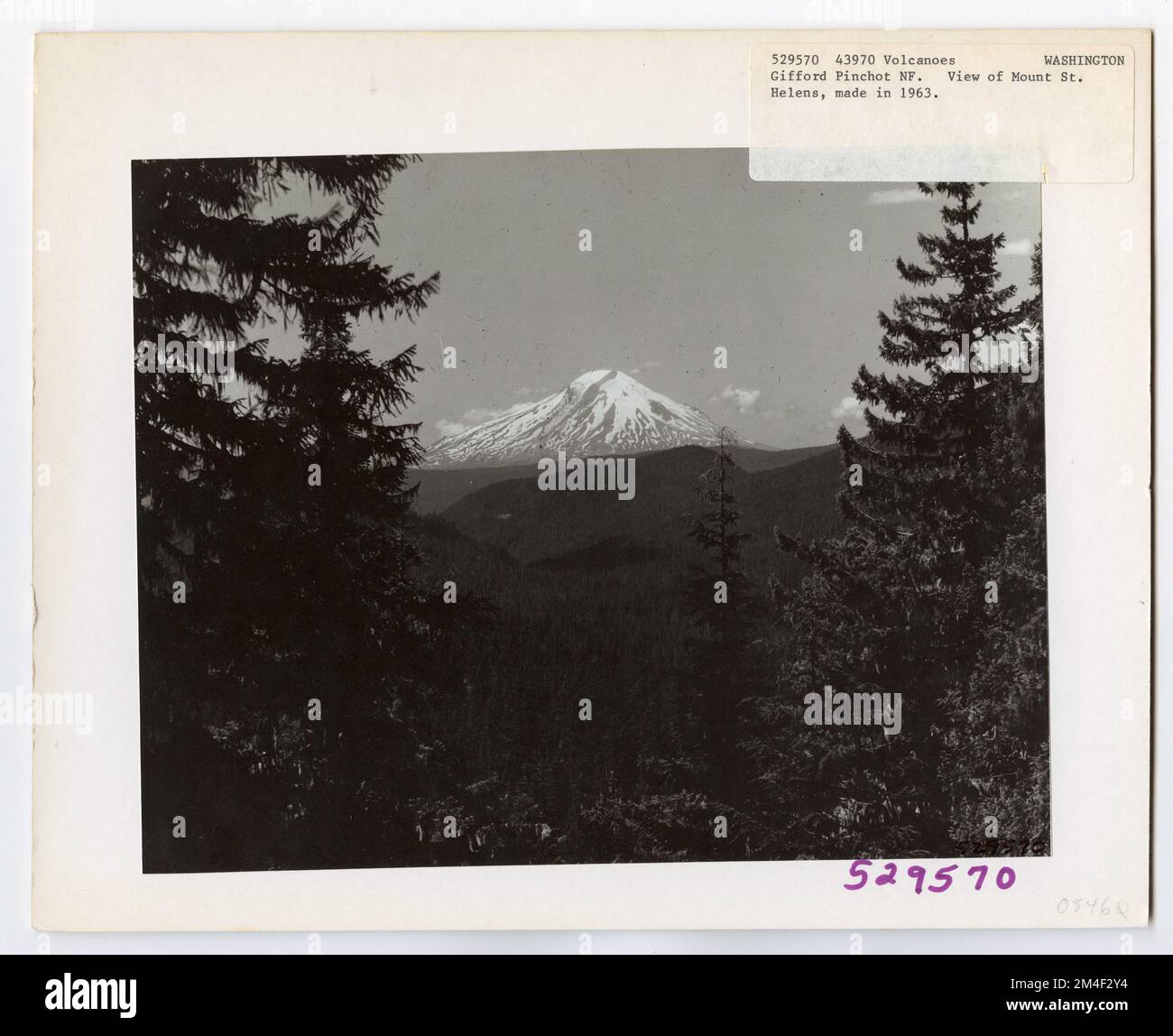 Volcanoes - After Mount St. Helens Eruption - Washington. Photographs ...