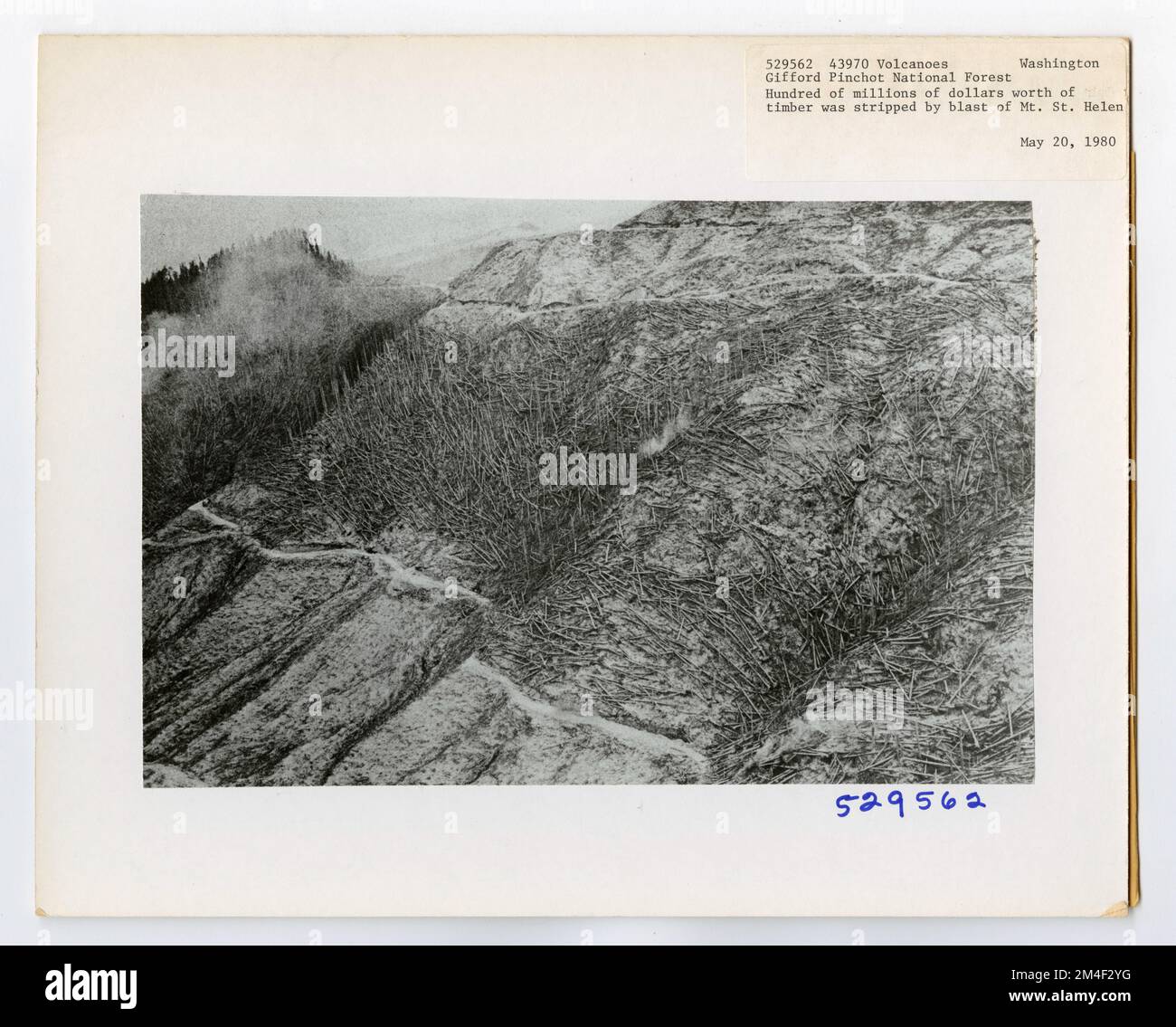 Volcanoes - After Mount St. Helens Eruption - Washington. Photographs ...