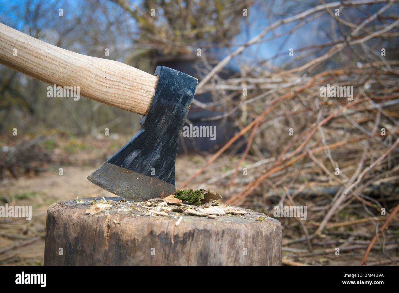 Chopper or axe standing upright in an old tree stump outdoors against a ...
