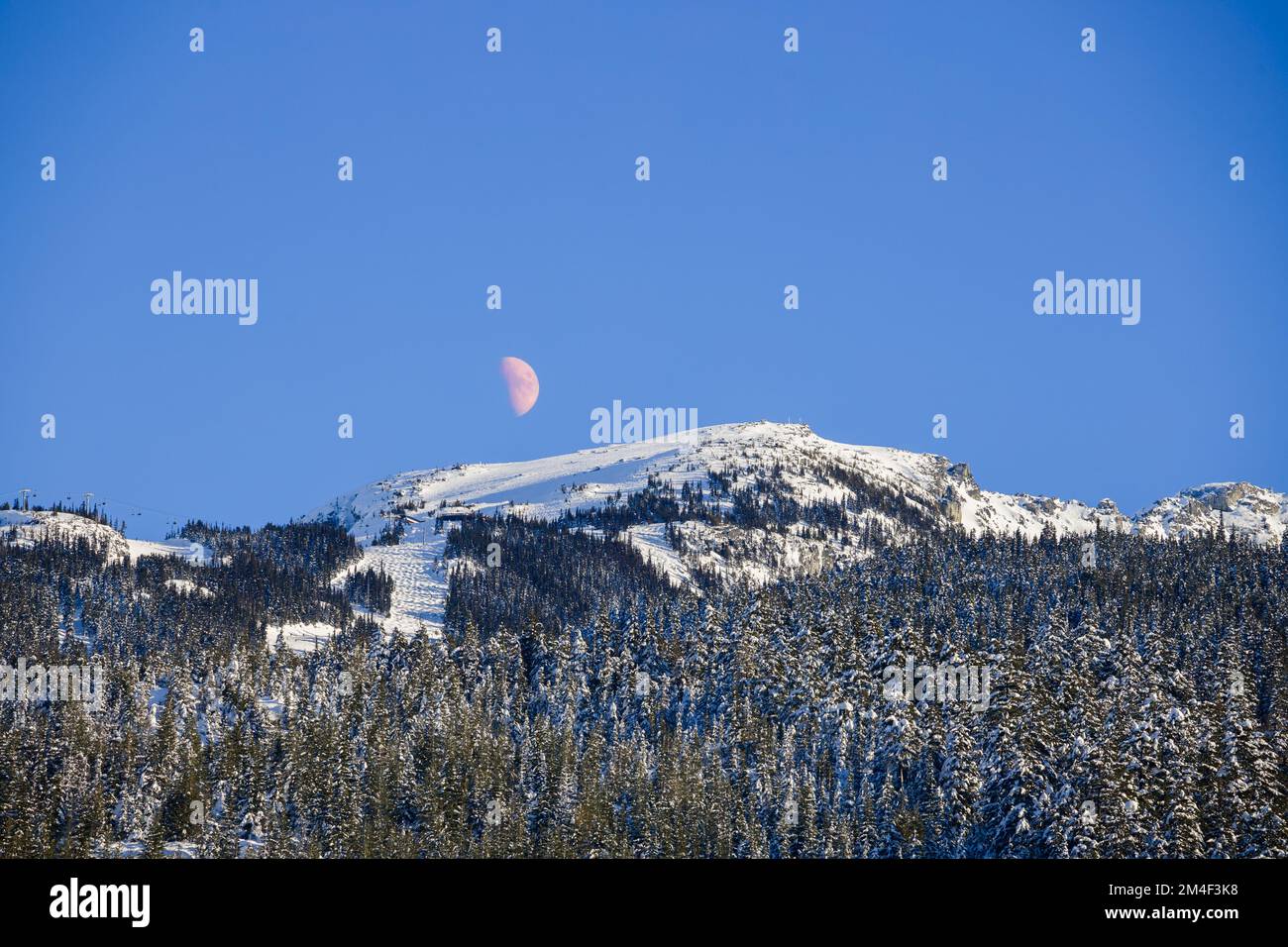 mountain and waxing white moon. Winter mountains landscape - coniferous ...