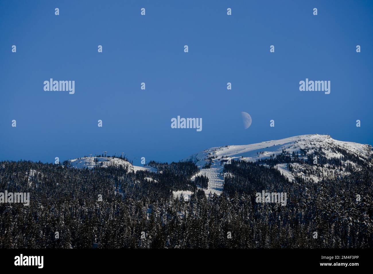 mountain and waxing white moon. Winter mountains landscape - coniferous ...