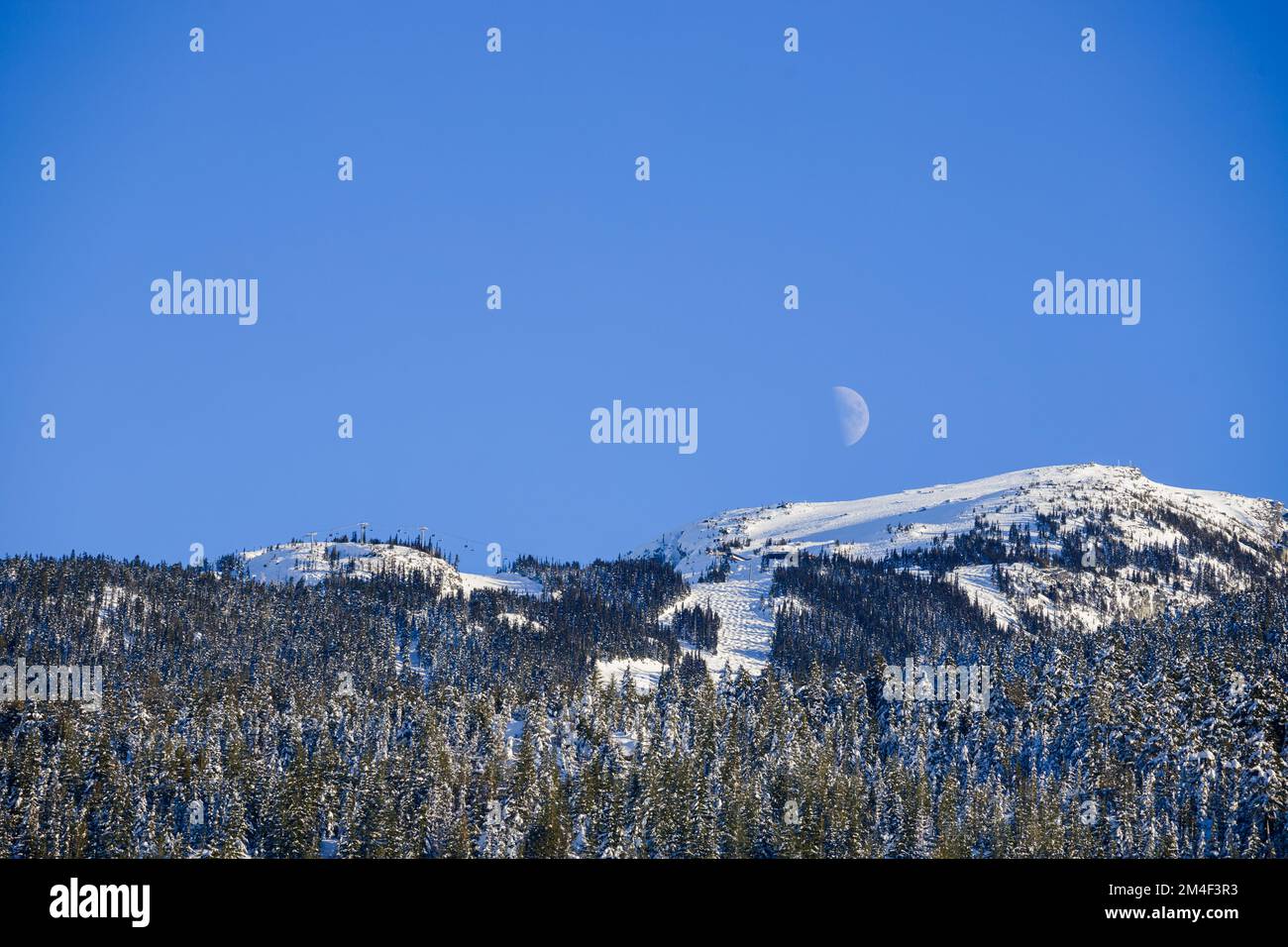 mountain and waxing white moon. Winter mountains landscape - coniferous ...