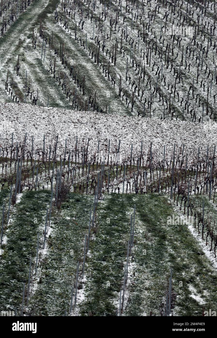 PRODUCTION - 14 December 2022, Bavaria, Thüngersheim: A fallow area in ...