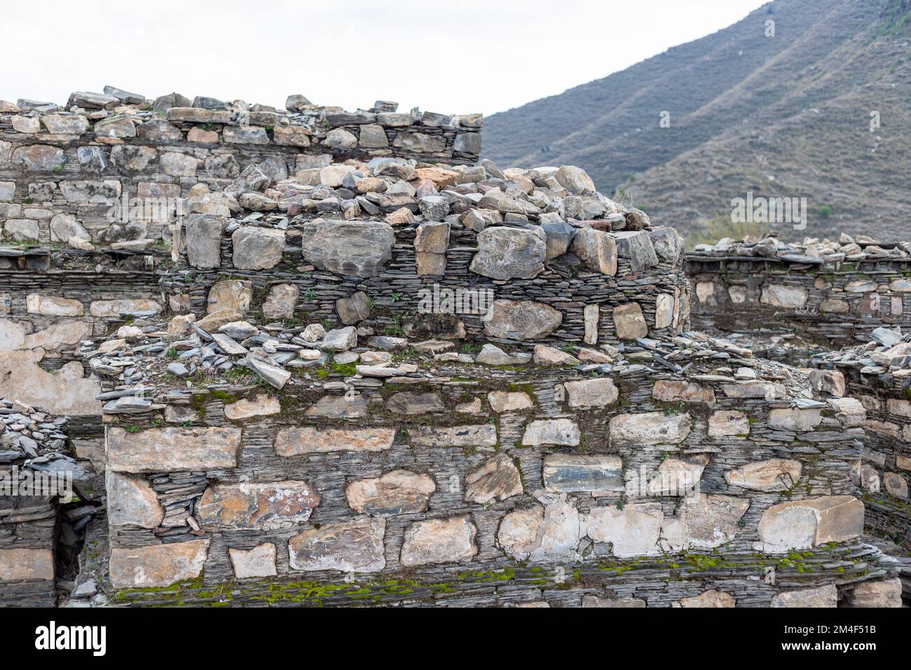 The Buddhist religion complex in the Nemogram valley of shamozai Swat ...