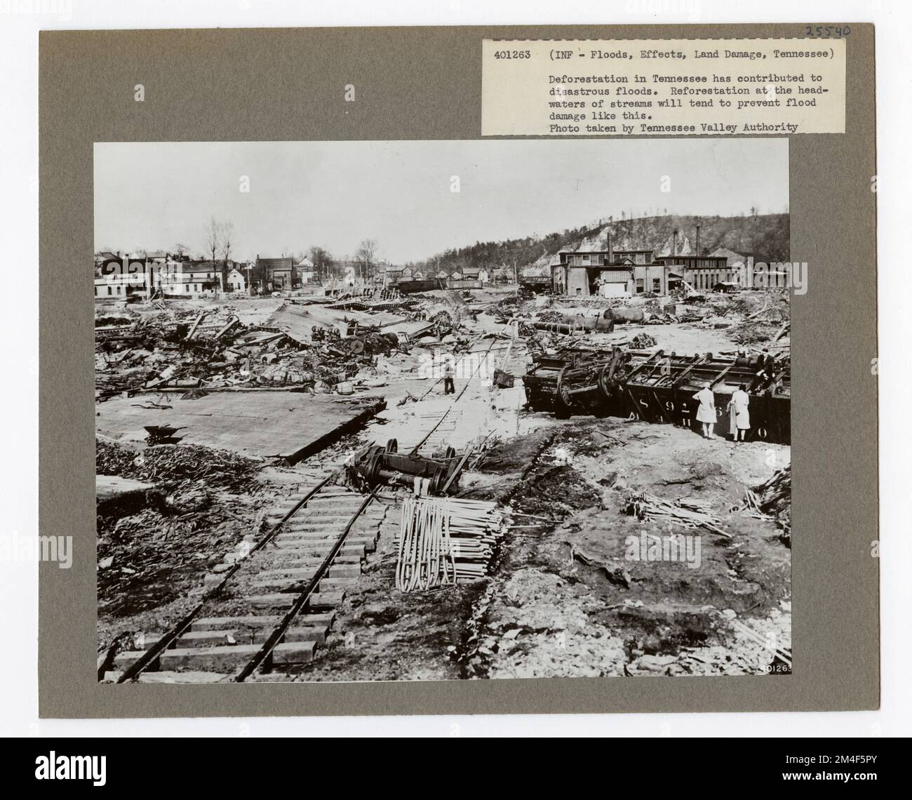 Soil Erosion - North Carolina. Photographs Relating to National Forests ...