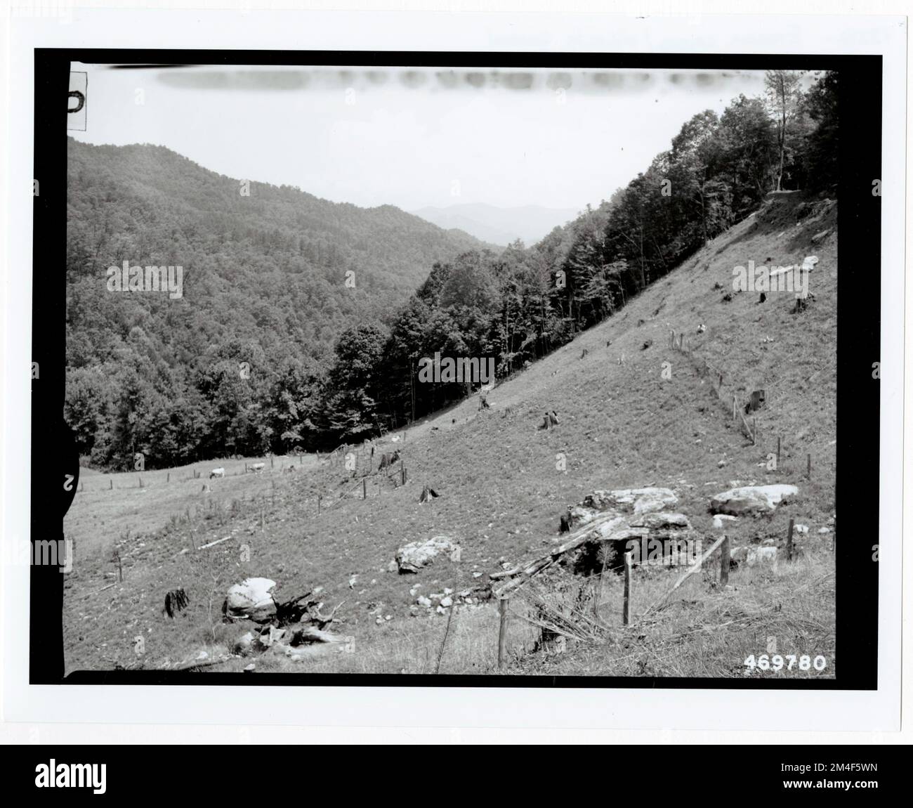 Soil Erosion - North Carolina. Photographs Relating to National Forests ...
