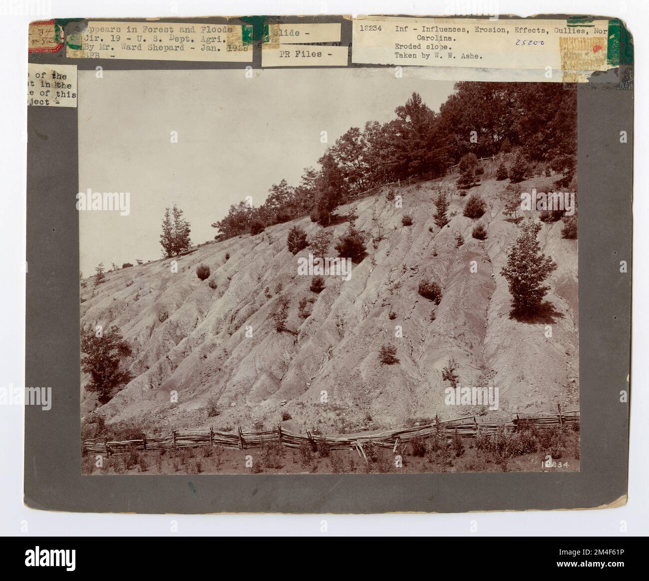 Soil Erosion - Nevada. Photographs Relating to National Forests ...