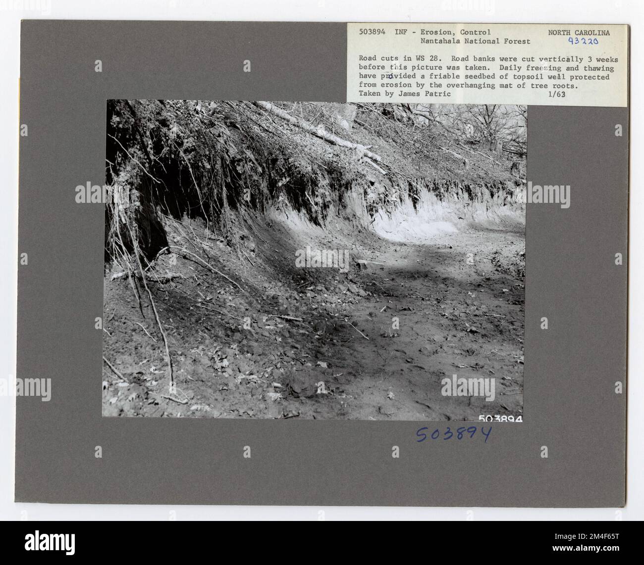Soil Erosion - North Carolina. Photographs Relating to National Forests ...