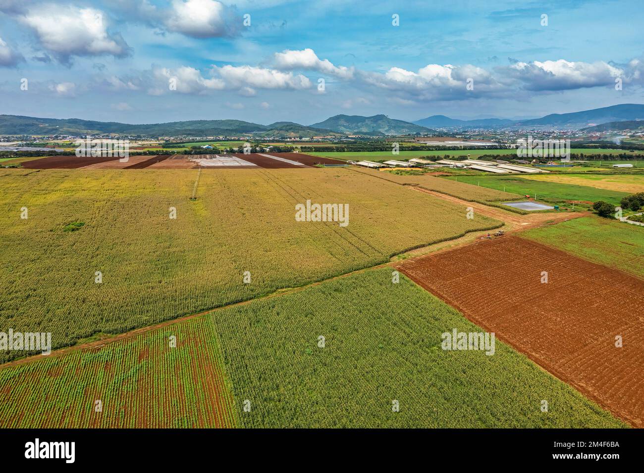 Rural landscape with grass and corn fields as raw materials for dairy ...