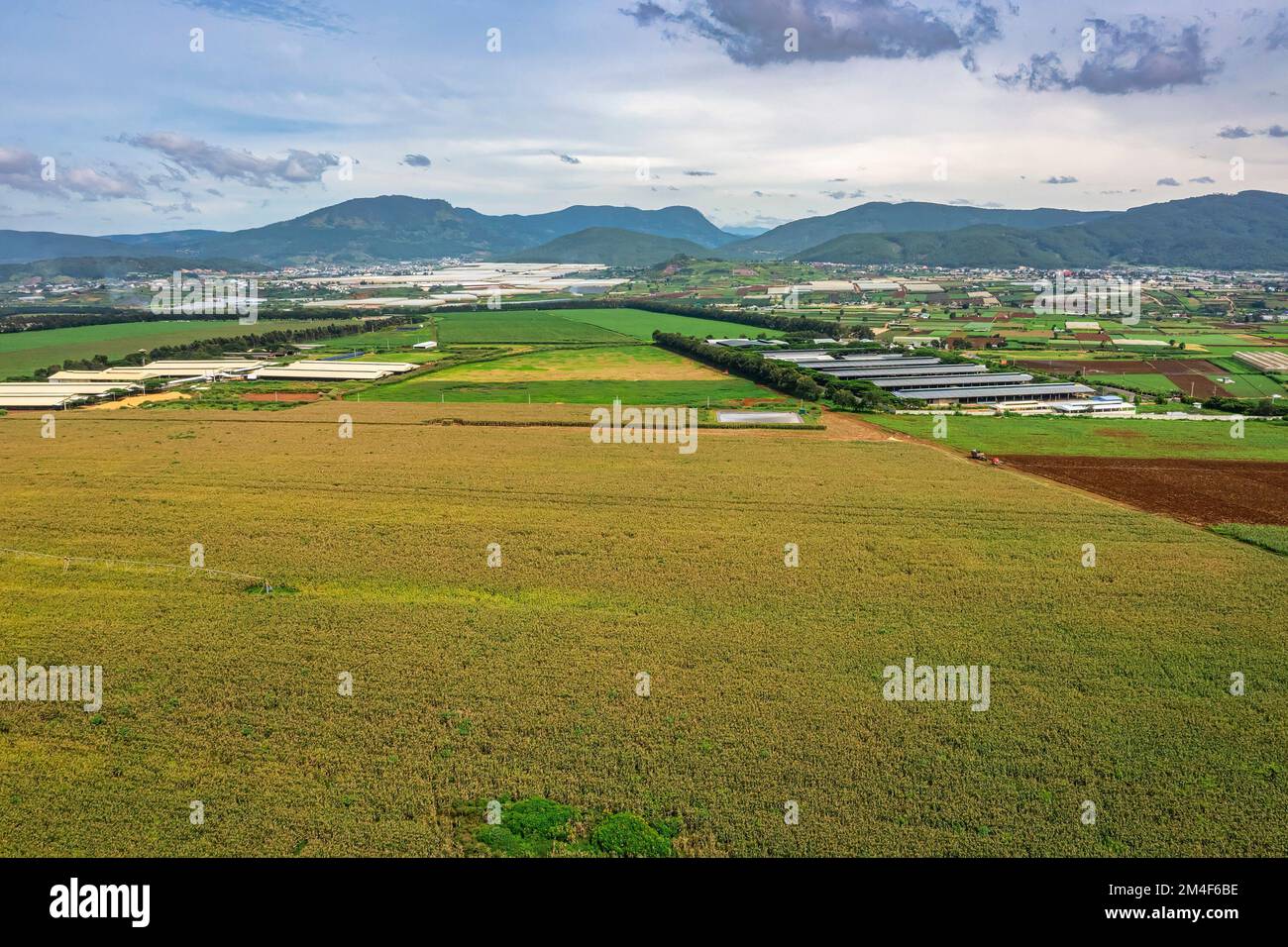 Rural landscape with grass and corn fields as raw materials for dairy ...