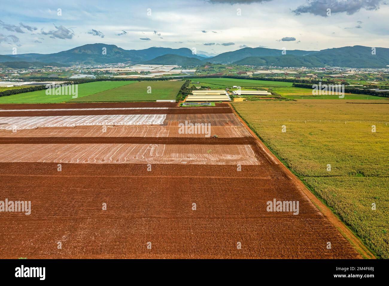 Rural landscape with grass and corn fields as raw materials for dairy ...