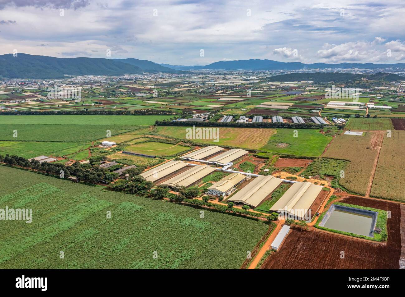 Rural landscape with grass and corn fields as raw materials for dairy ...