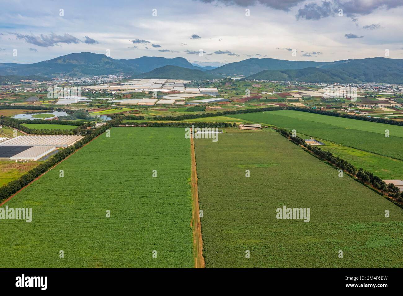 Rural landscape with grass and corn fields as raw materials for dairy ...
