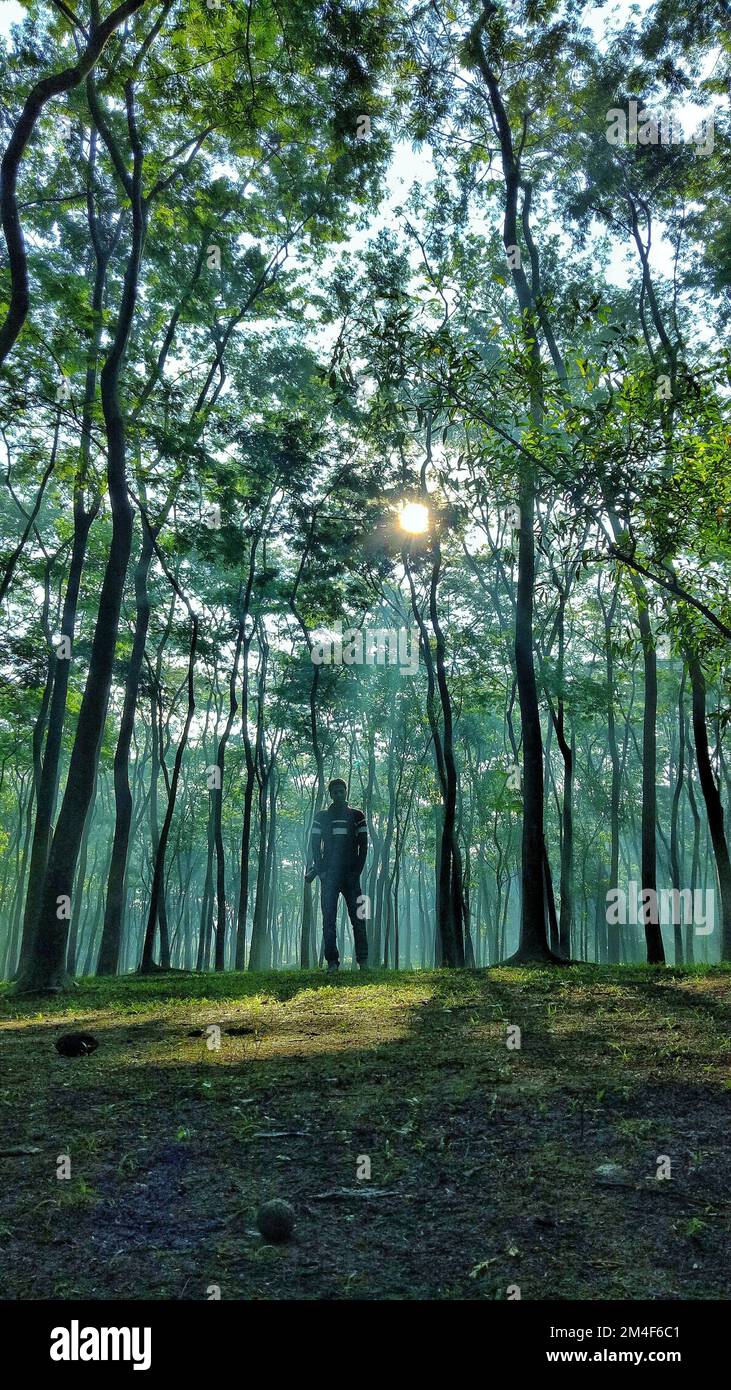 Sunny day morning bangladesh hi-res stock photography and images - Alamy