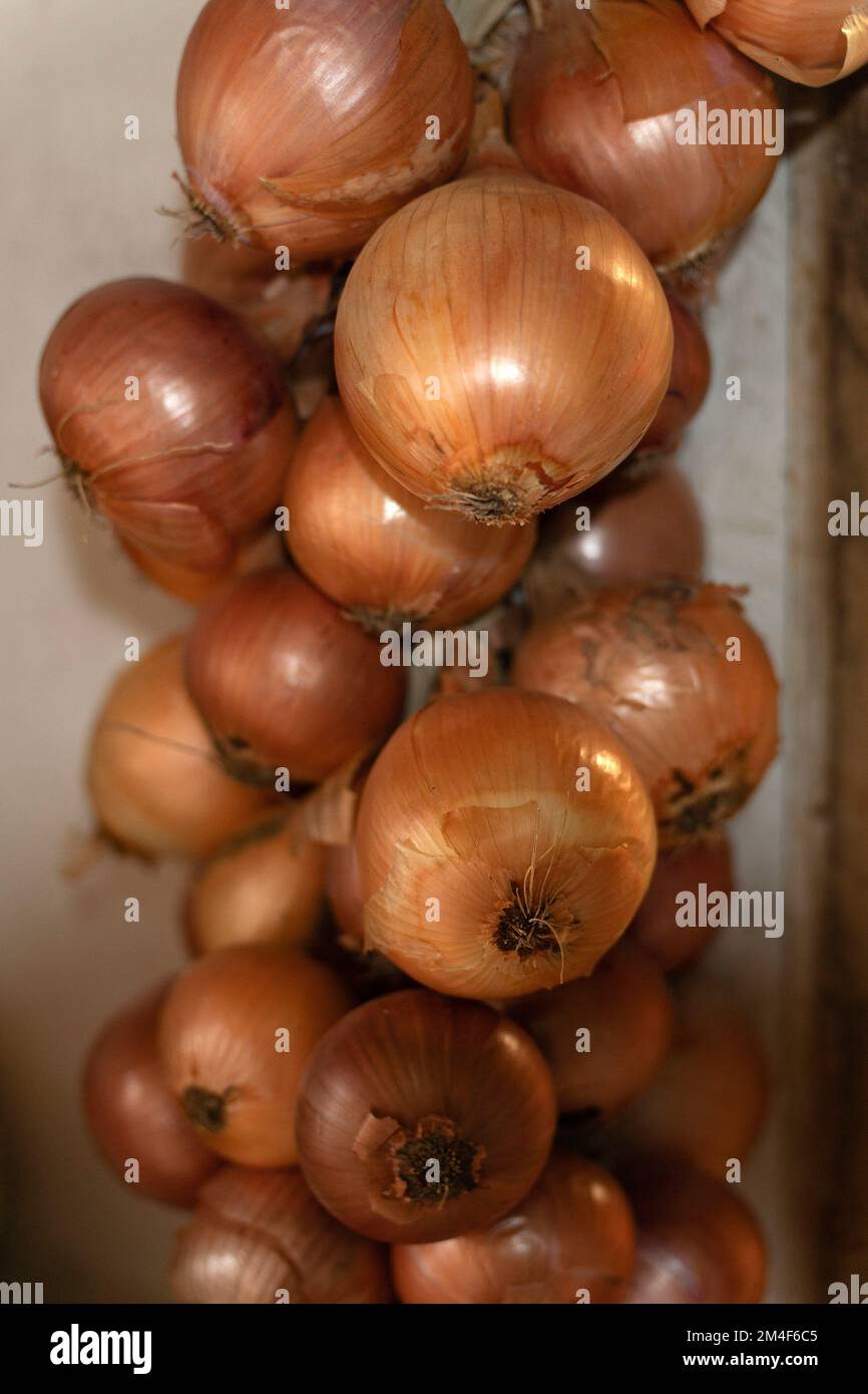 Bunch of brown onions hanging Stock Photo - Alamy