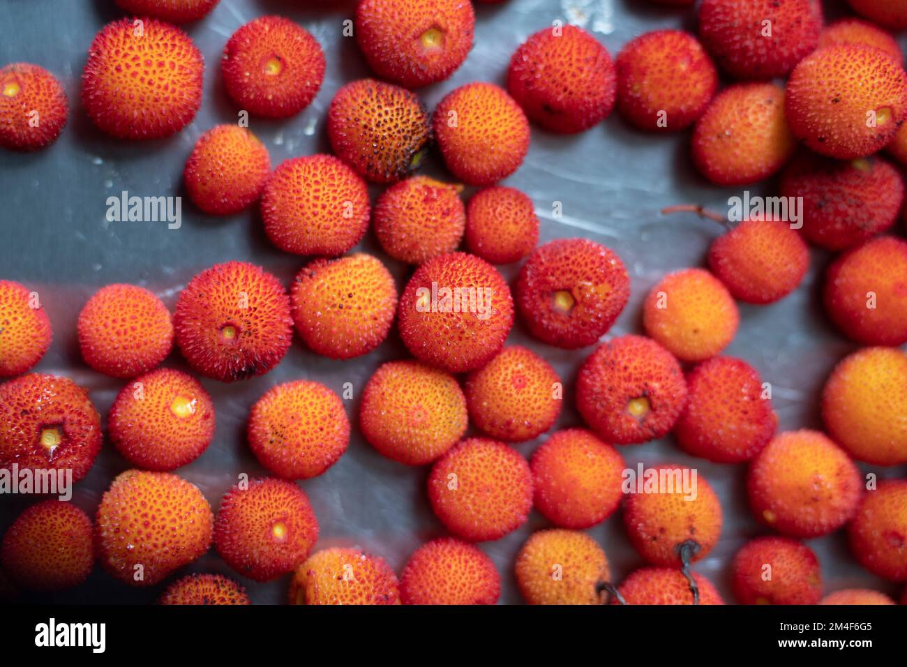 Strawberry berry berries red agriculture hi-res stock photography and ...