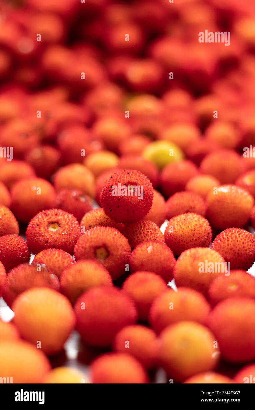 Arbutus unedo berries hi-res stock photography and images - Alamy