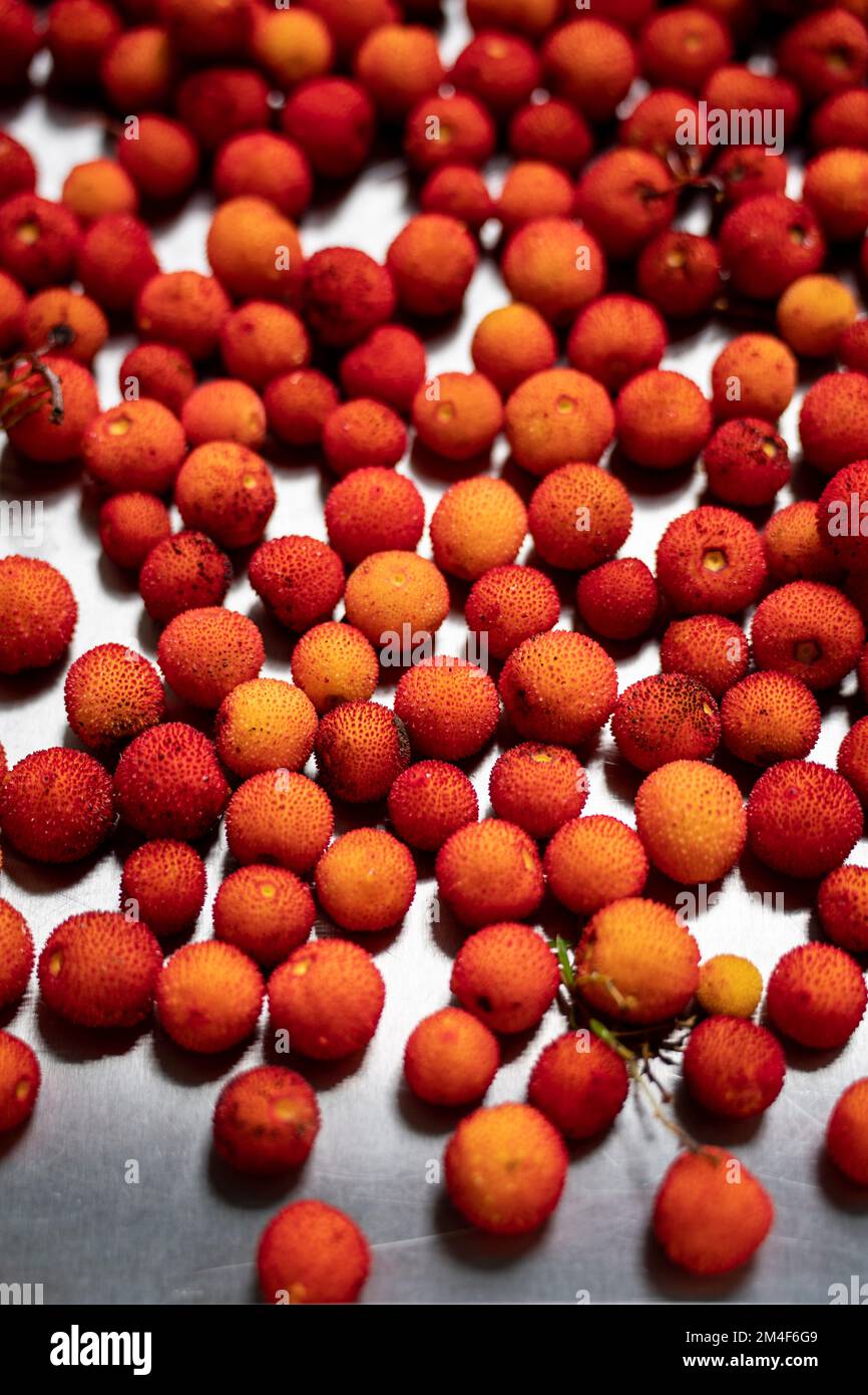 Arbutus unedo berries hi-res stock photography and images - Alamy