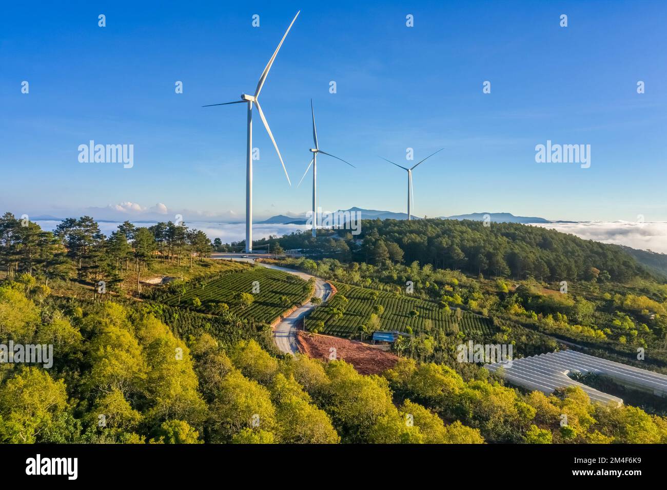 PANORAMIC VIEW OF WIND FARM OR WIND PARK, WITH HIGH WIND TURBINES FOR ...