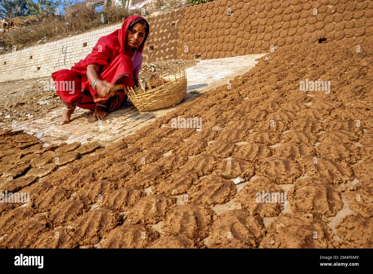 Dryed cowdung is valuable fuel in all India. Espacially in Varanasi ...